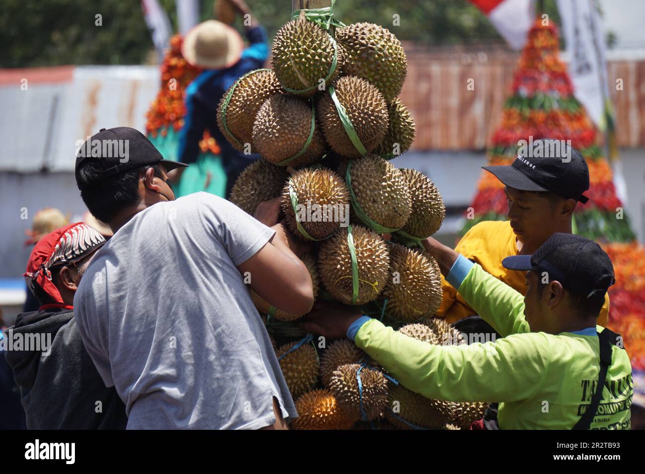 Indonesian is fighting over the tumpeng durian (durian cone) on pulud ...