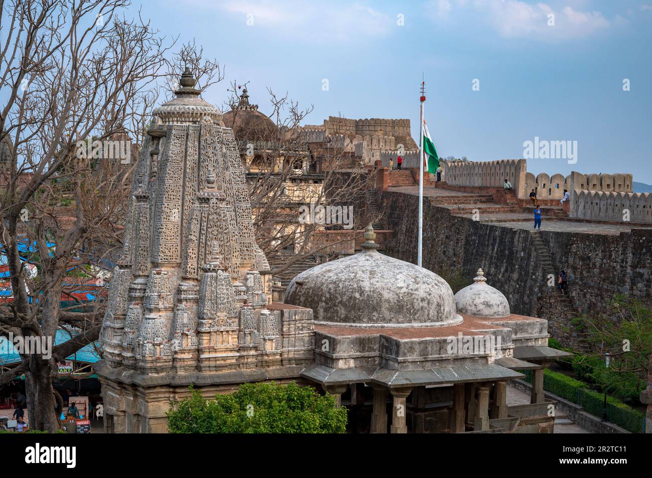 Royal palaces of india hi-res stock photography and images - Alamy
