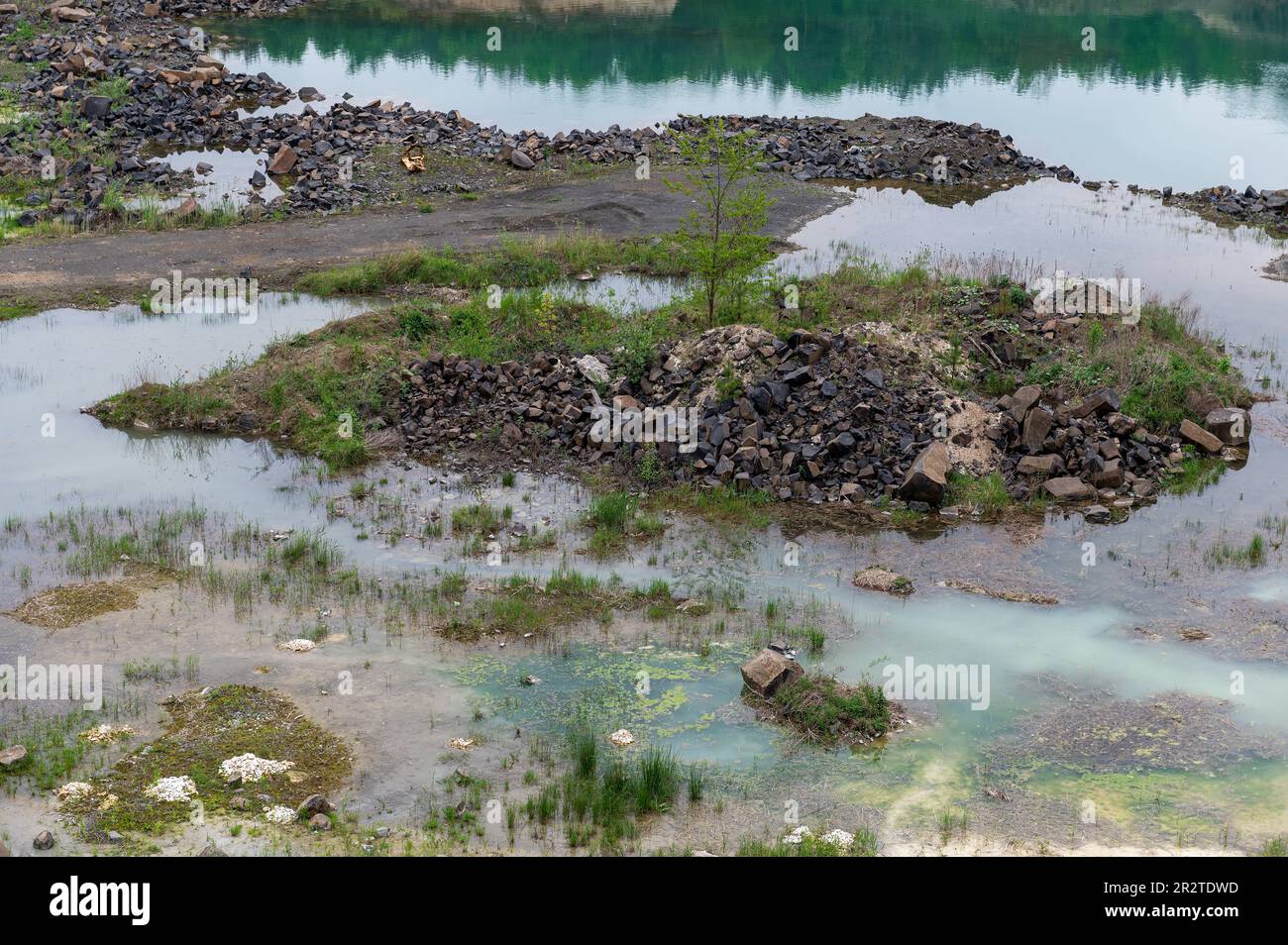 Polluted body of water. Water pollution concept image. Summer landscape ...