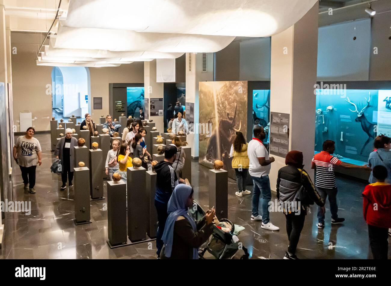 Visitors in Georgian National Museum Tbilisi Stock Photo - Alamy