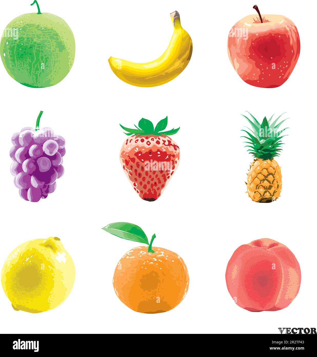 Photorealistic realistic vector vectors hi-res stock photography and ...