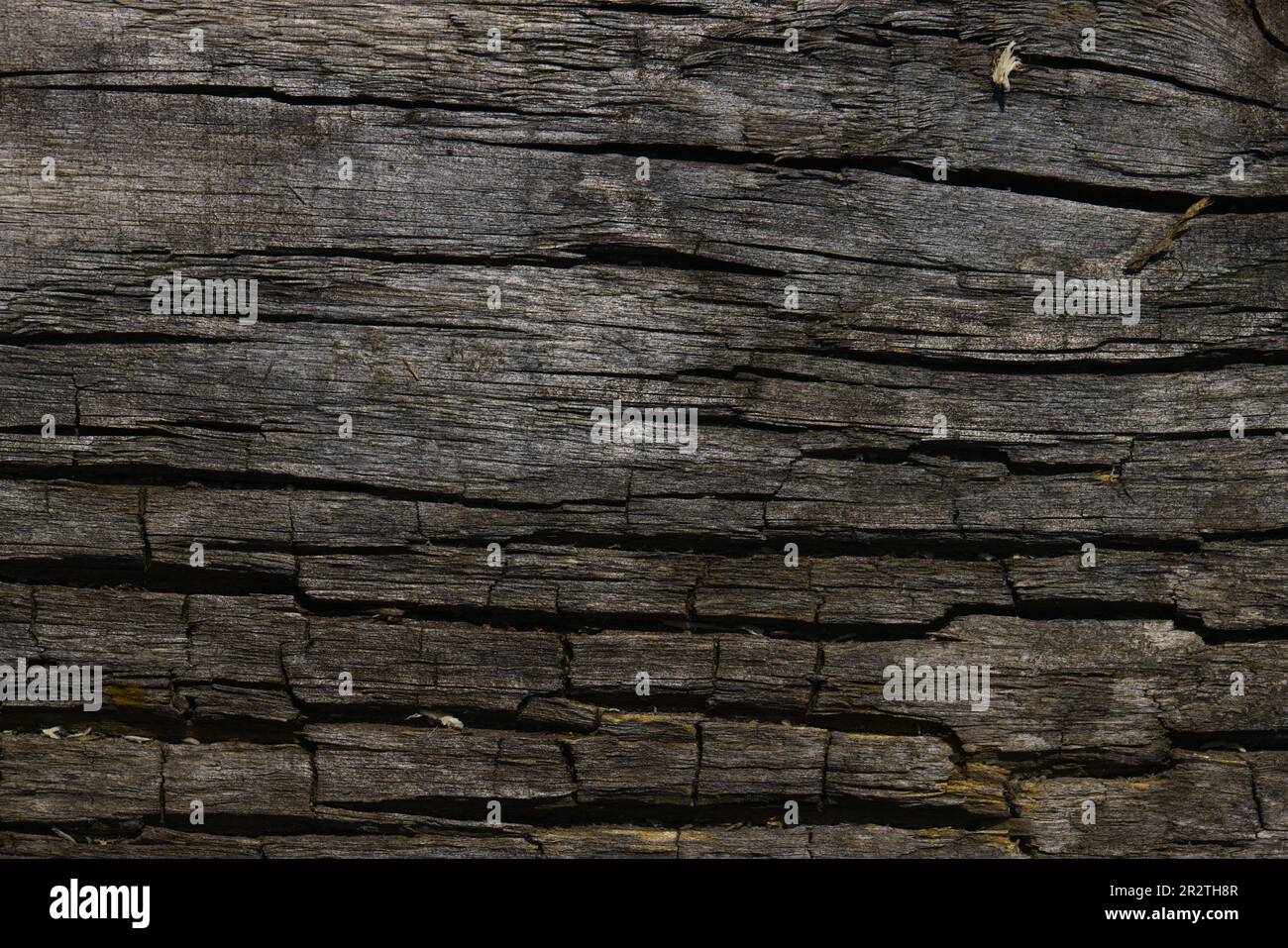 Old, raw boards arranged in a row. Raw wood texture Stock Photo - Alamy