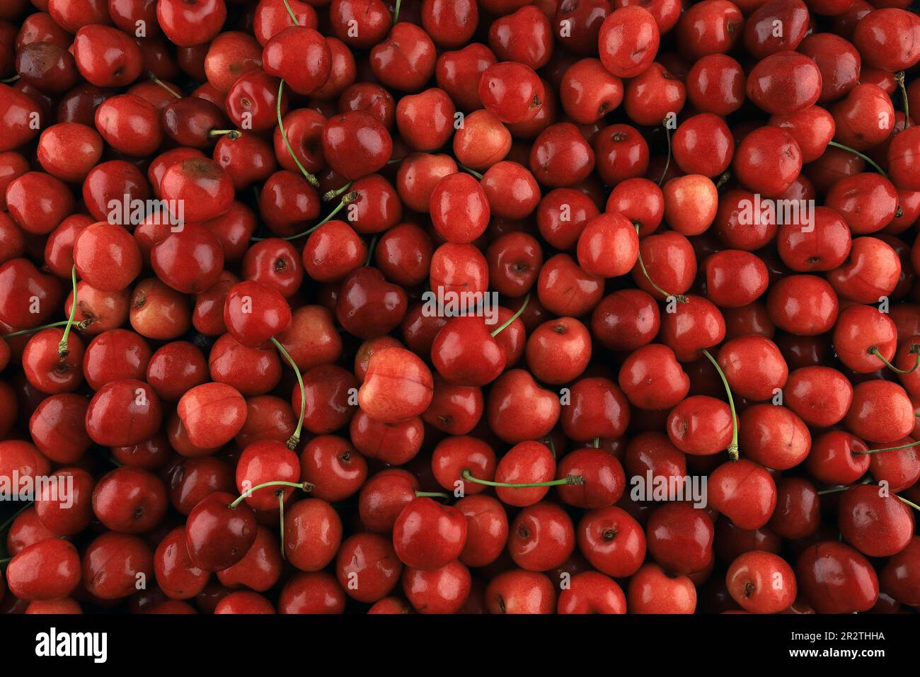 Real cherries hi-res stock photography and images - Alamy