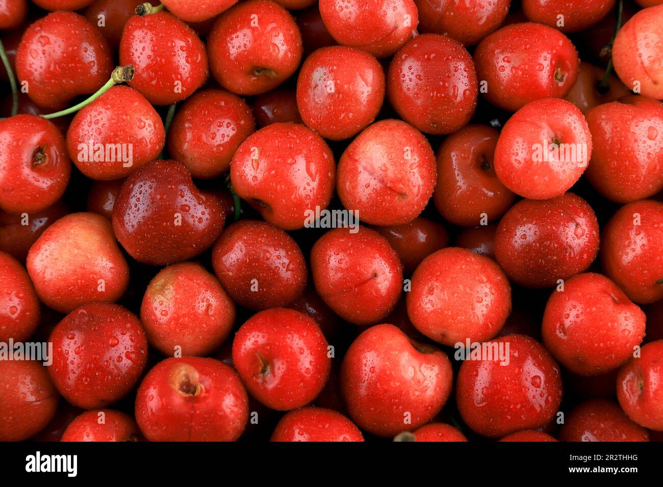 Real cherries hi-res stock photography and images - Alamy