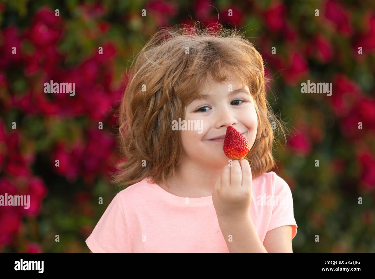 Healthy kids food Happy child boy eat strawberries. Adorable kid eating ...