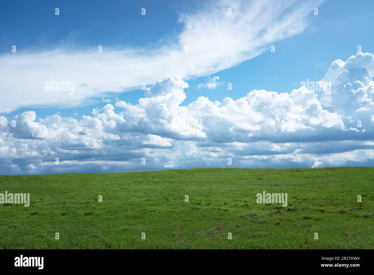 Beautiful grass field on blue clear sky with white cloud and sunshine ...