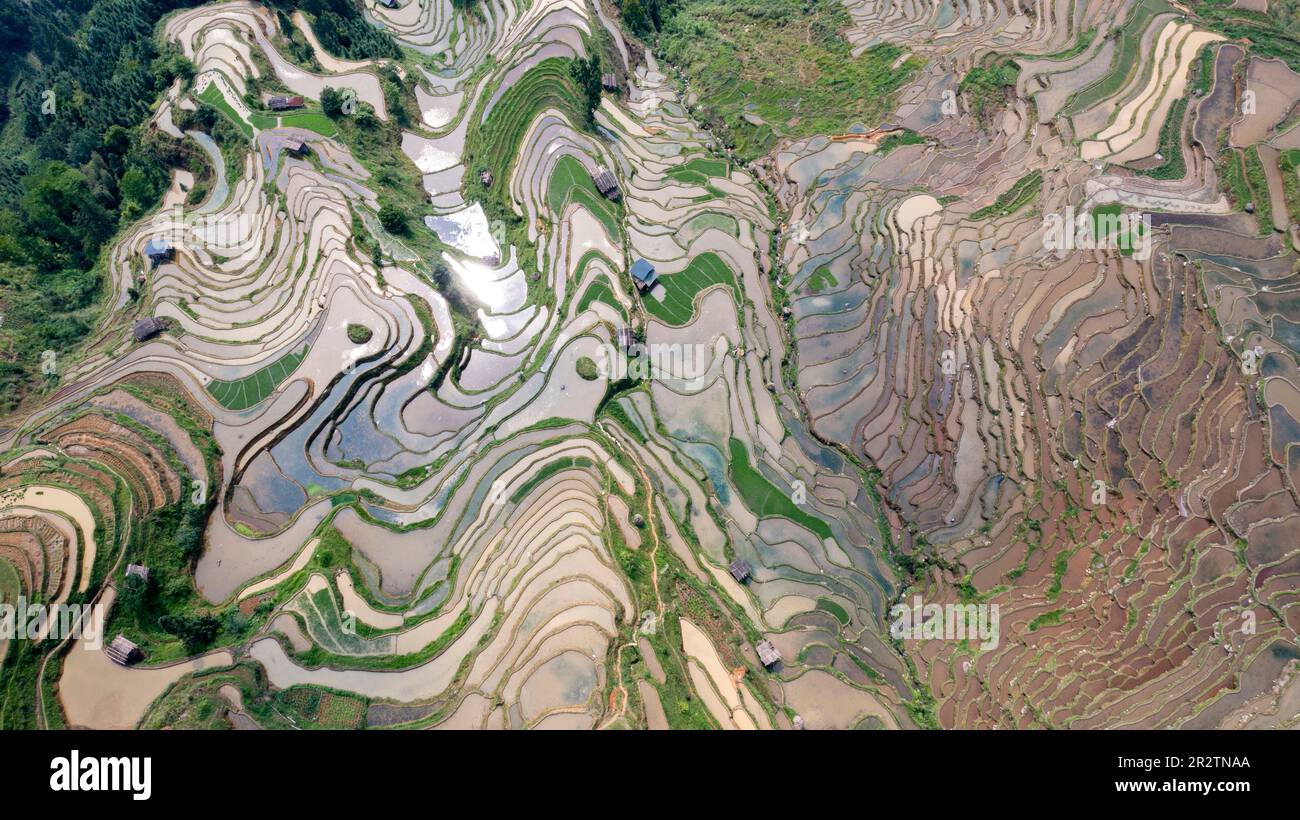 CONGJIANG, CHINA - MAY 21, 2023 - Photo taken on May 21, 2023 shows the ...