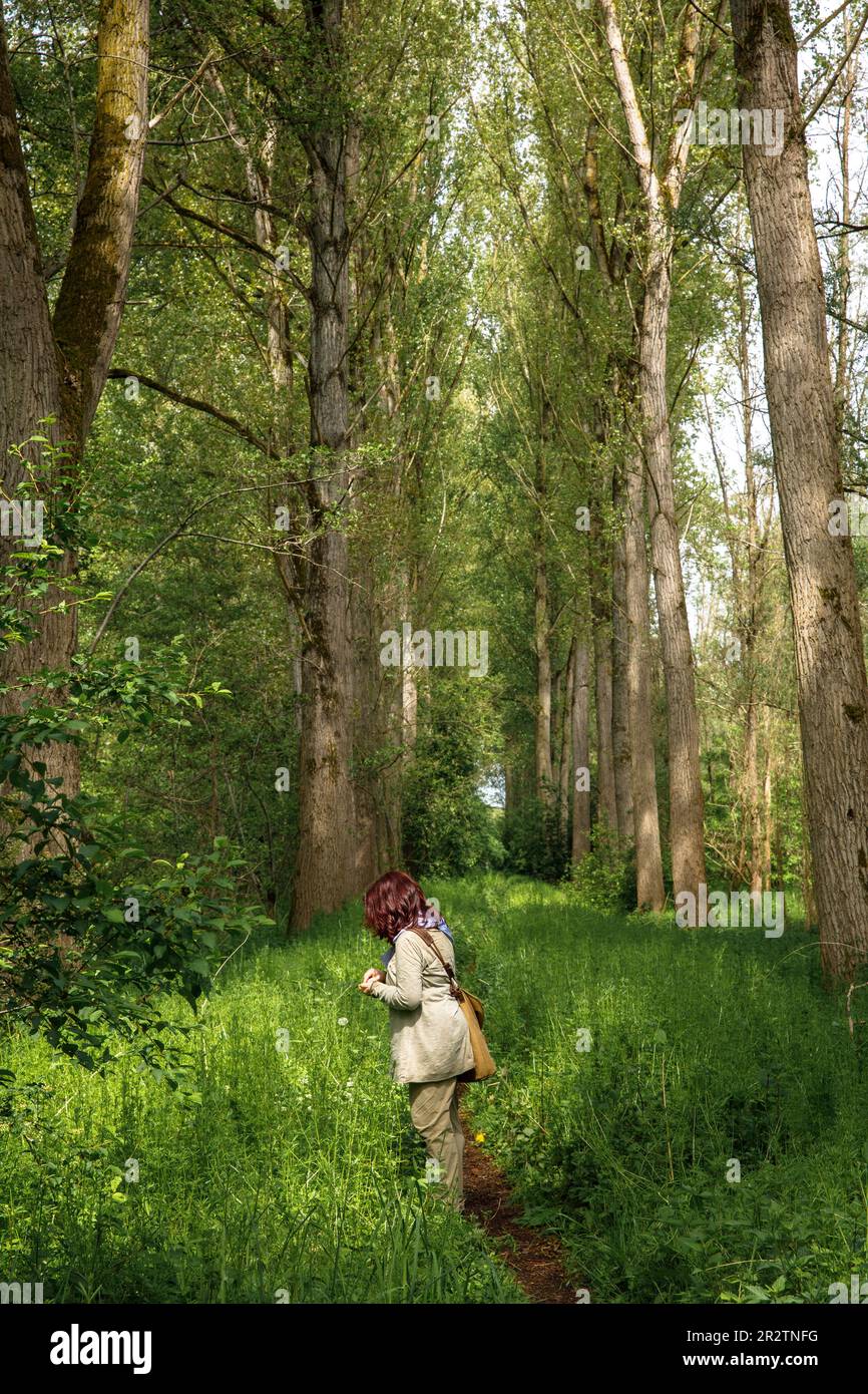 the Worringer Bruch, an 8000 year old silted up meander of the Rhine ...