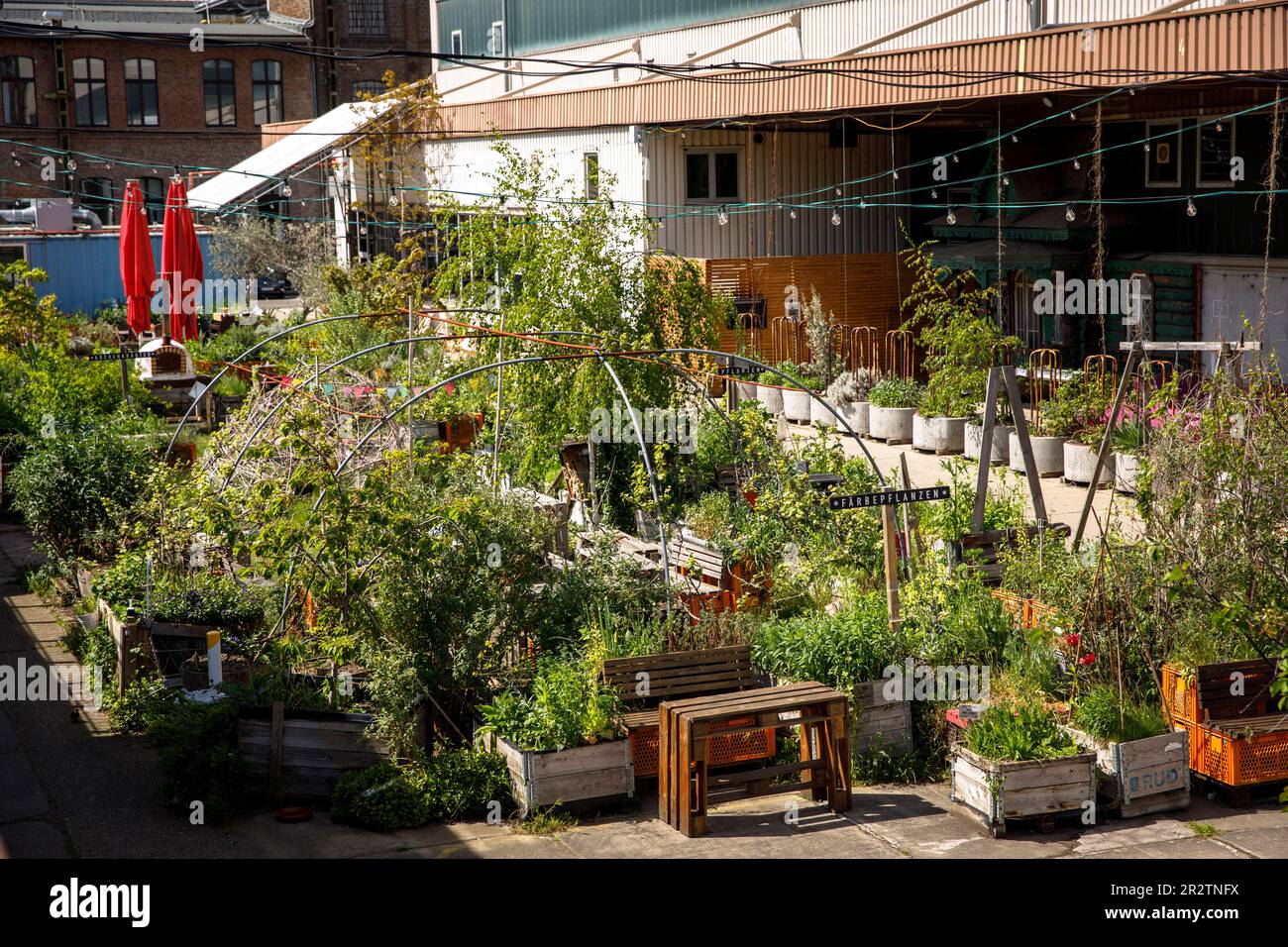 the urban kitchen garden CARLsGARTEN on a 3000 sqm industrial wasteland ...