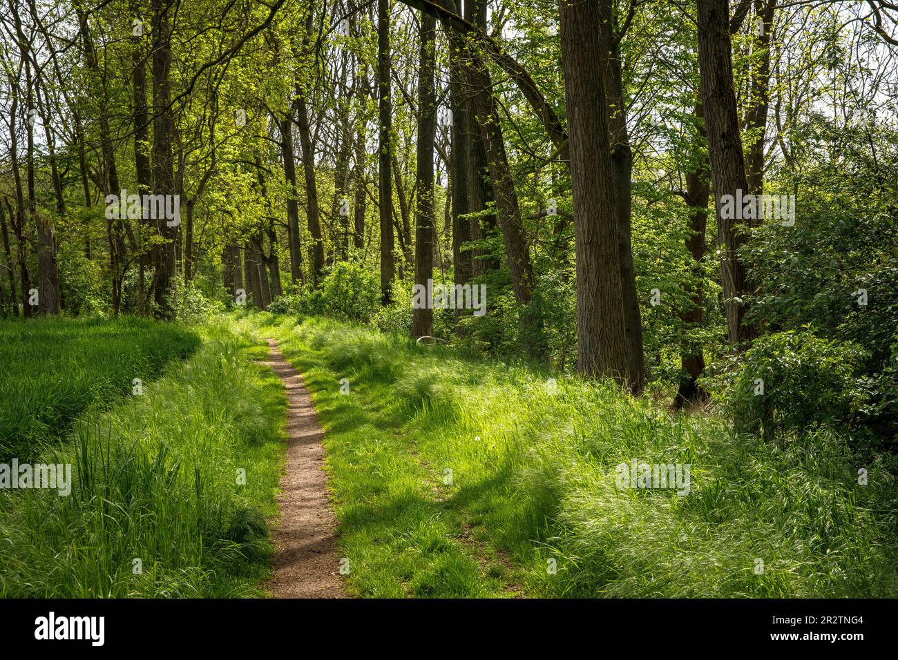 the Worringer Bruch, an 8000 year old silted up meander of the Rhine ...
