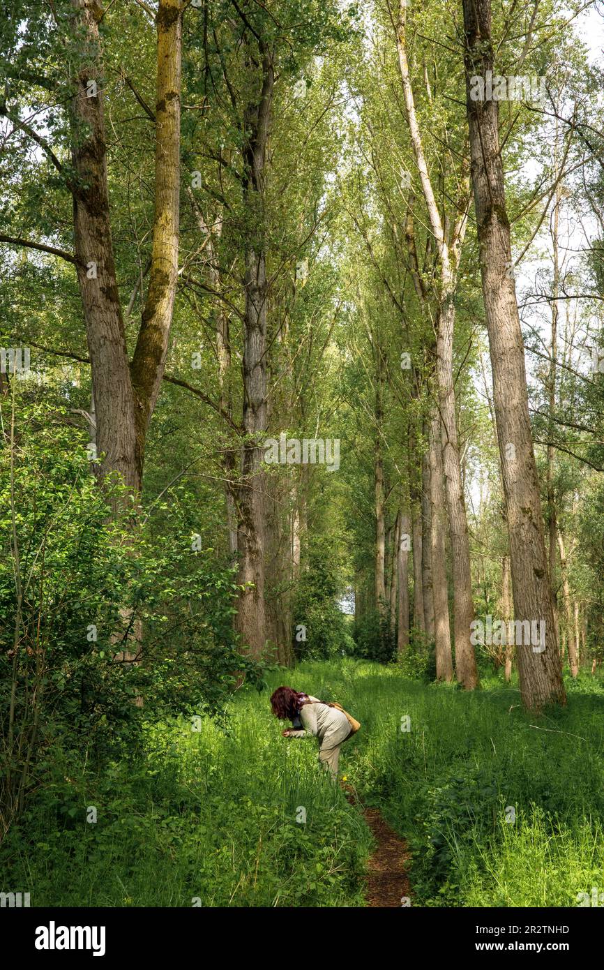 the Worringer Bruch, an 8000 year old silted up meander of the Rhine ...