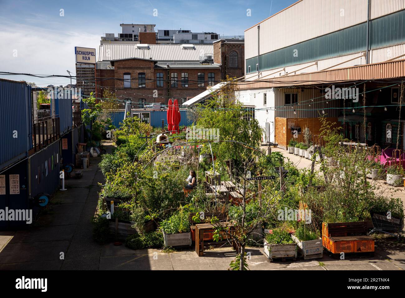 the urban kitchen garden CARLsGARTEN on a 3000 sqm industrial wasteland ...
