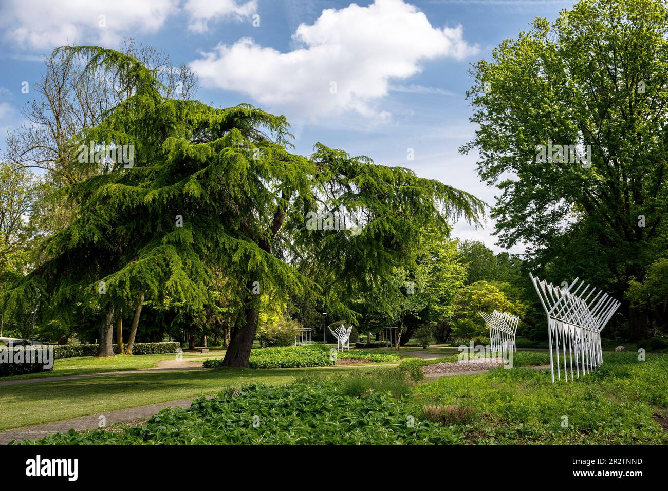 the Rhine Park in the district Deutz, local recreation area, Cologne ...