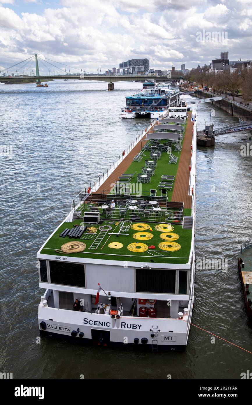 cruise ship Scenic Ruby is lying on the bank of the Rhine in front of ...