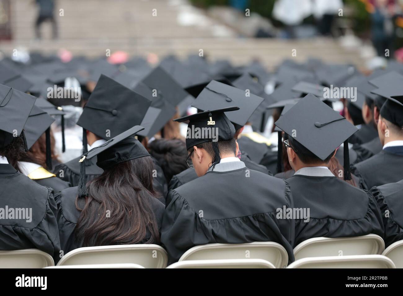 Music icon Stevie Wonder received an honorary Doctorate of Humane ...