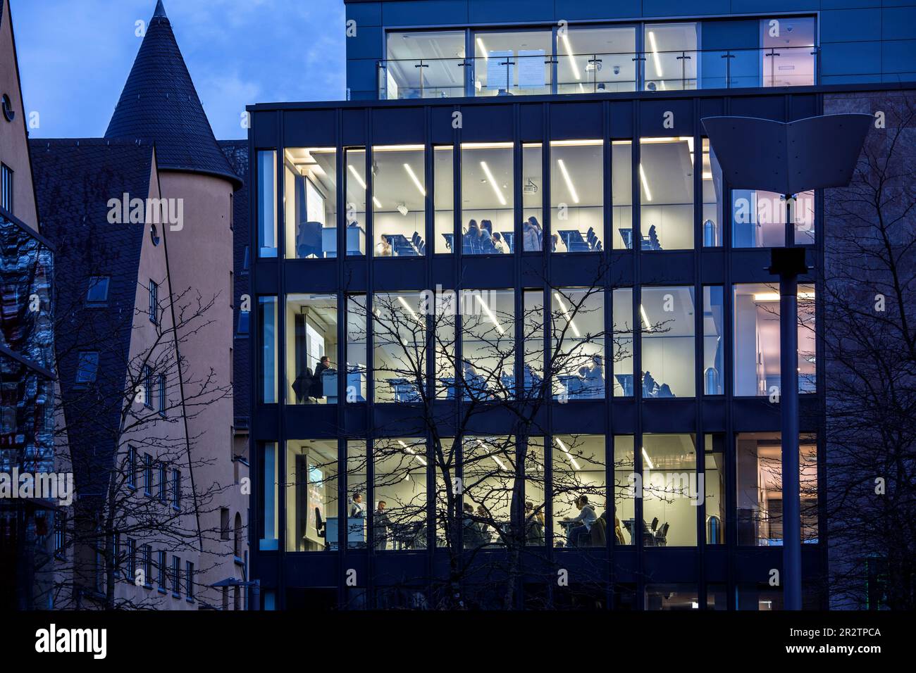 the FOM University of Applied Sciences for Economics and Management in ...