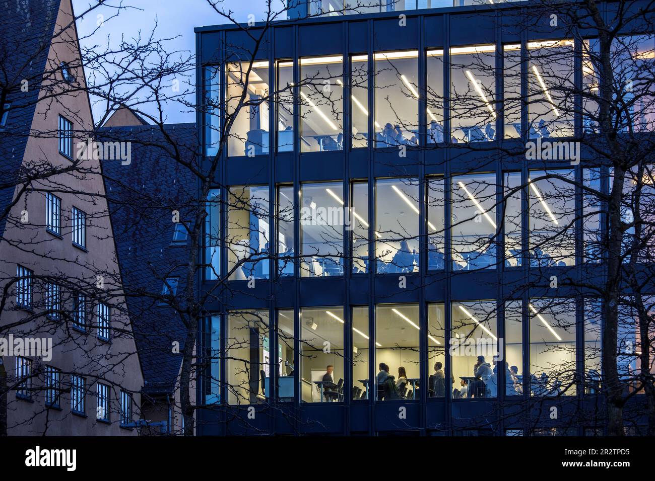 the FOM University of Applied Sciences for Economics and Management in ...