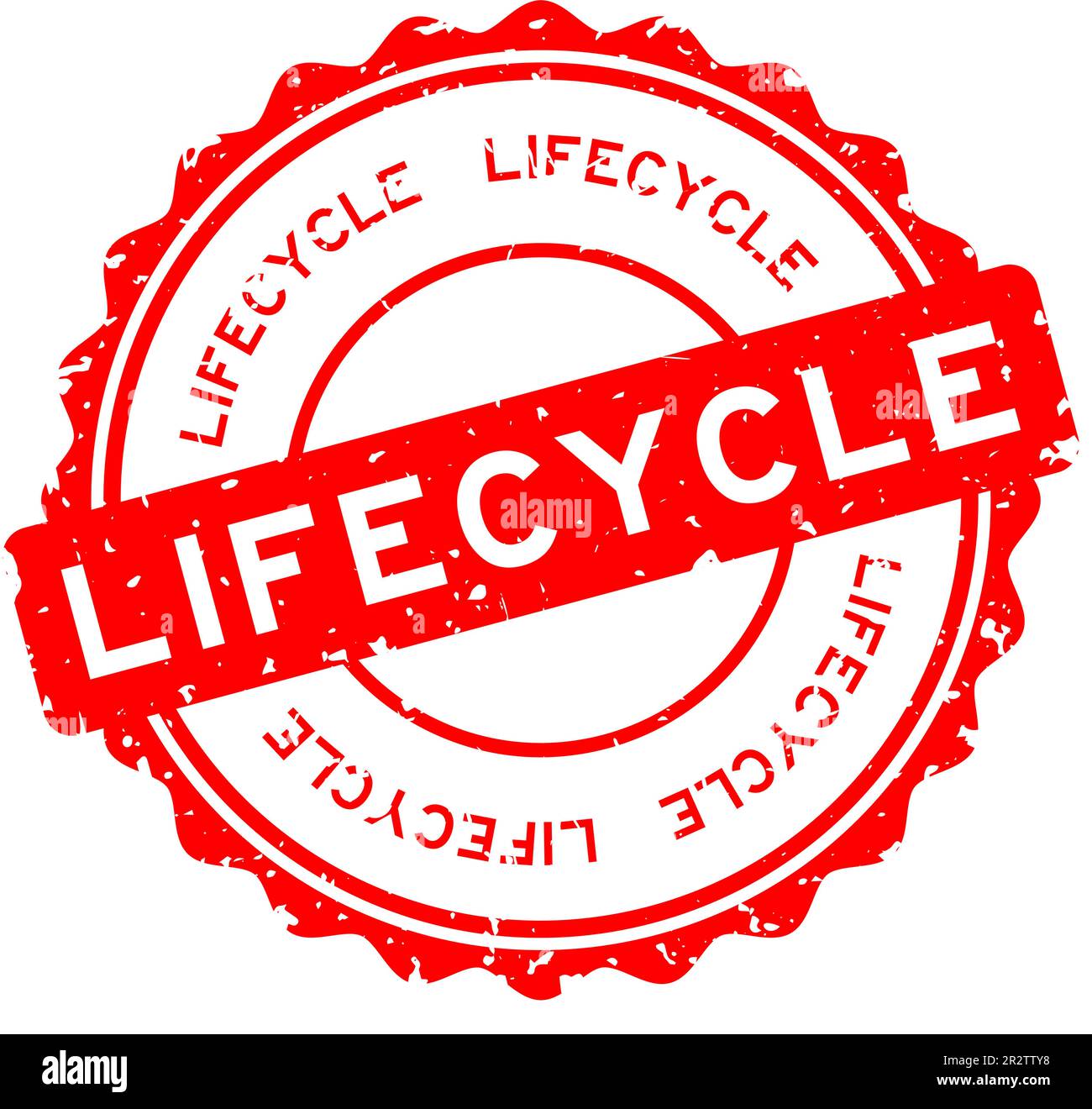 Grunge red lifecycle word round rubber seal stamp on white background Stock Vector Image & Art ...