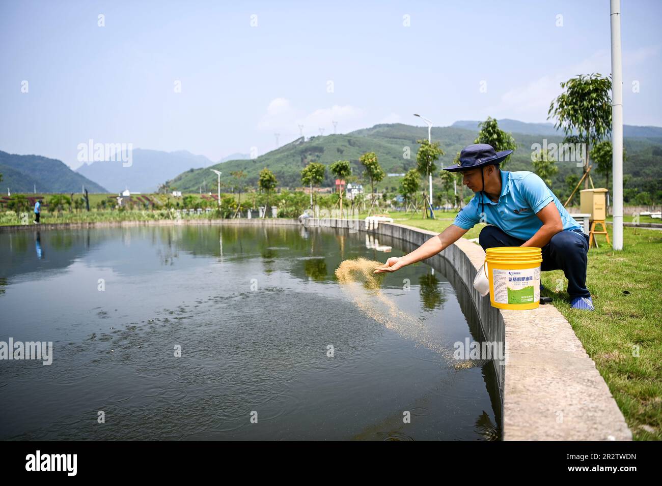Guiping, China. 20th May, 2023. (230521) -- GUIPING, May 21, 2023 ...