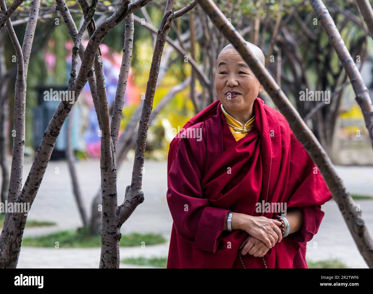 Happy green hi-res stock photography and images - Alamy