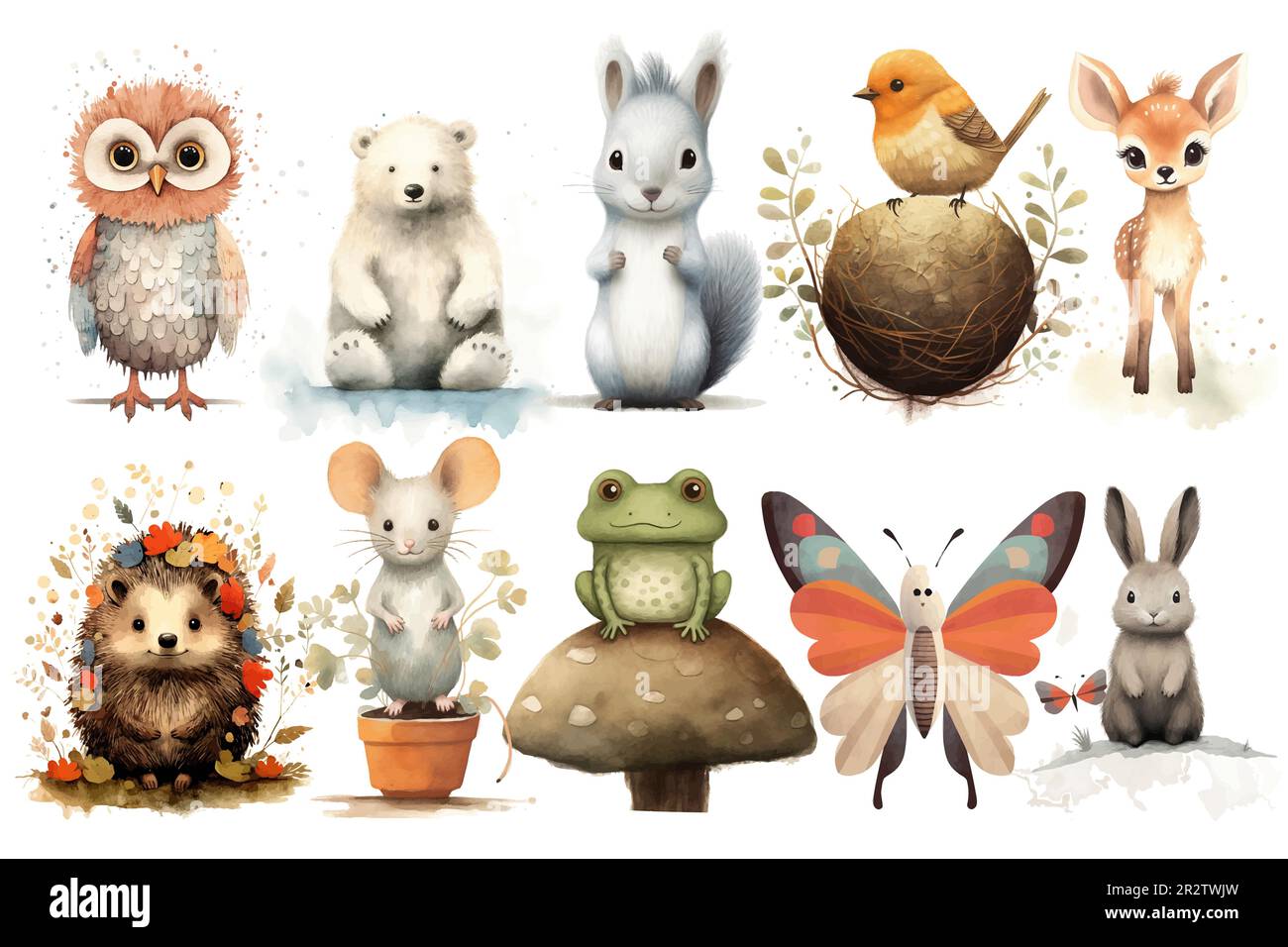 Butterfly frog illustration Stock Vector Images - Alamy