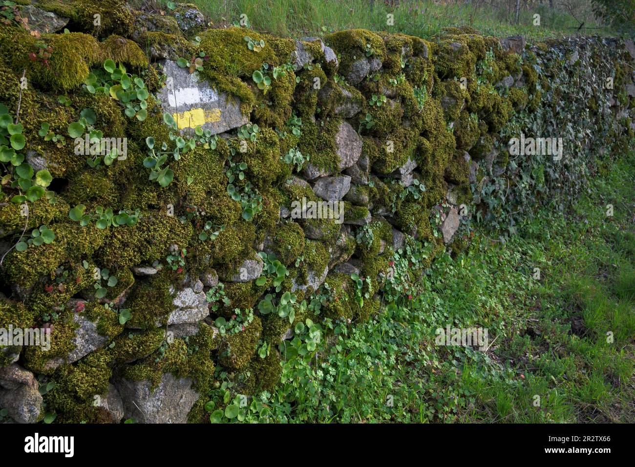 Yellow and white sign indicating the right way on a path on a stone ...