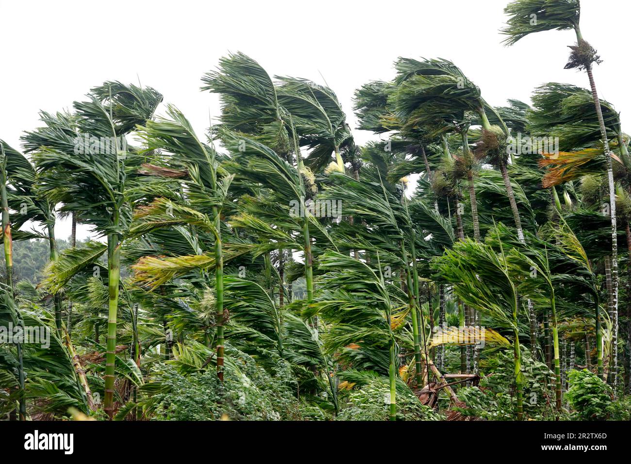 Cox's bazar, Bangladesh - May 14, 2023: Cyclone Mocha crossed ...