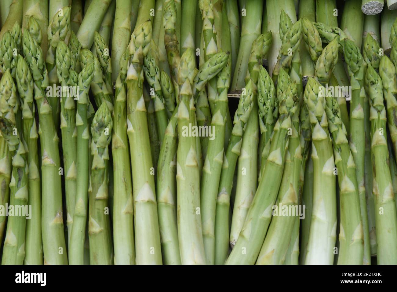 May 21,2023/Green & white asparagus display in food market in danish ...