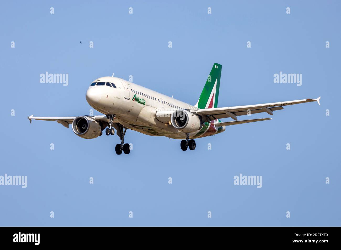 ITA Airways in Alitalia livery Airbus A319-112 (REG: EI-IMD) arriving ...