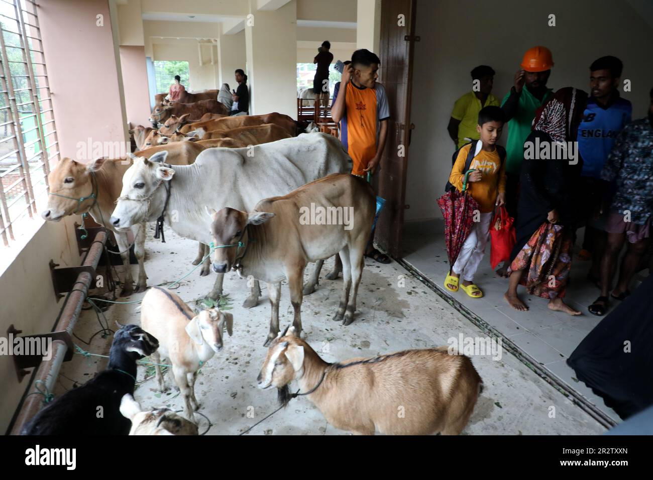 Cox's bazar, Bangladesh - May 14, 2023: Local people are moving to ...