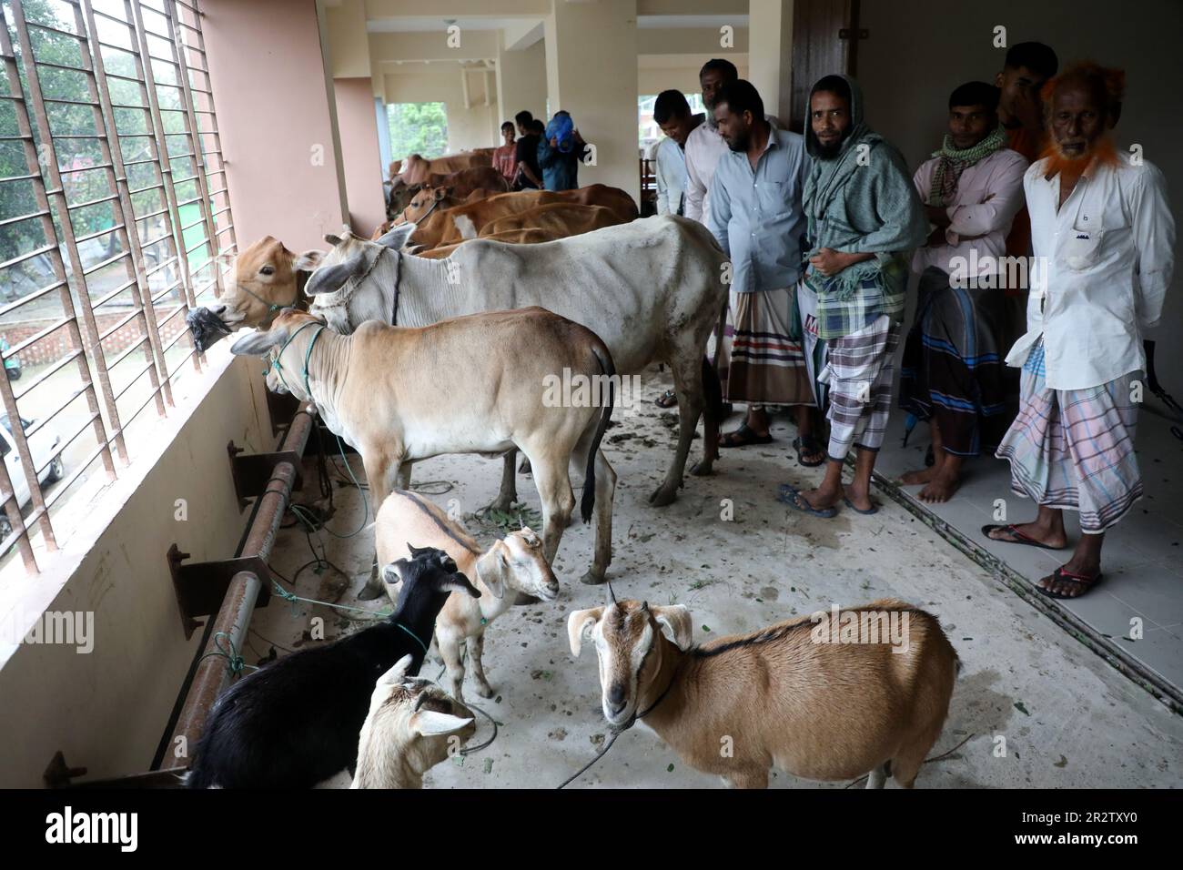 Cox's bazar, Bangladesh - May 14, 2023: Local people are moving to ...