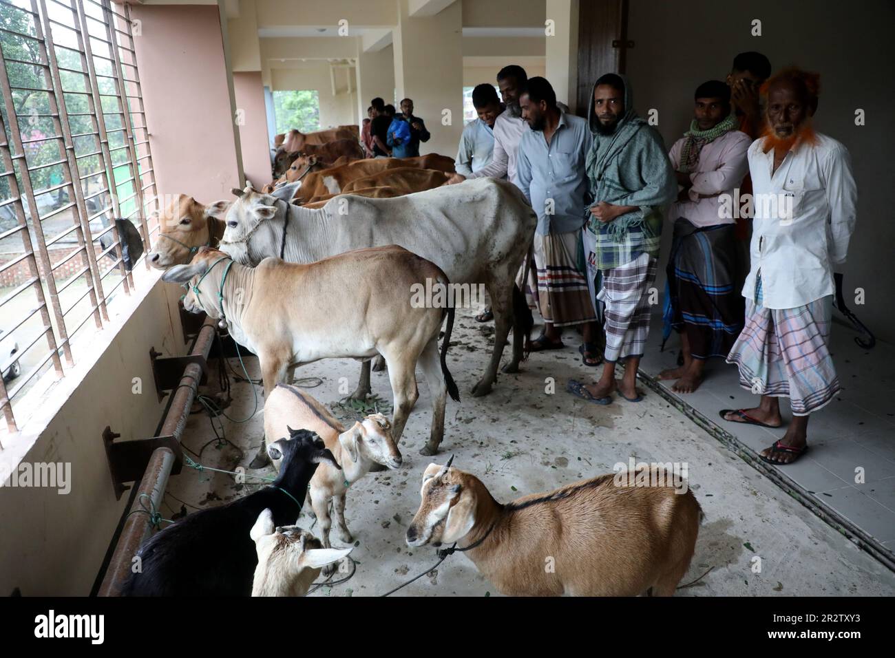Cox's bazar, Bangladesh - May 14, 2023: Local people are moving to ...
