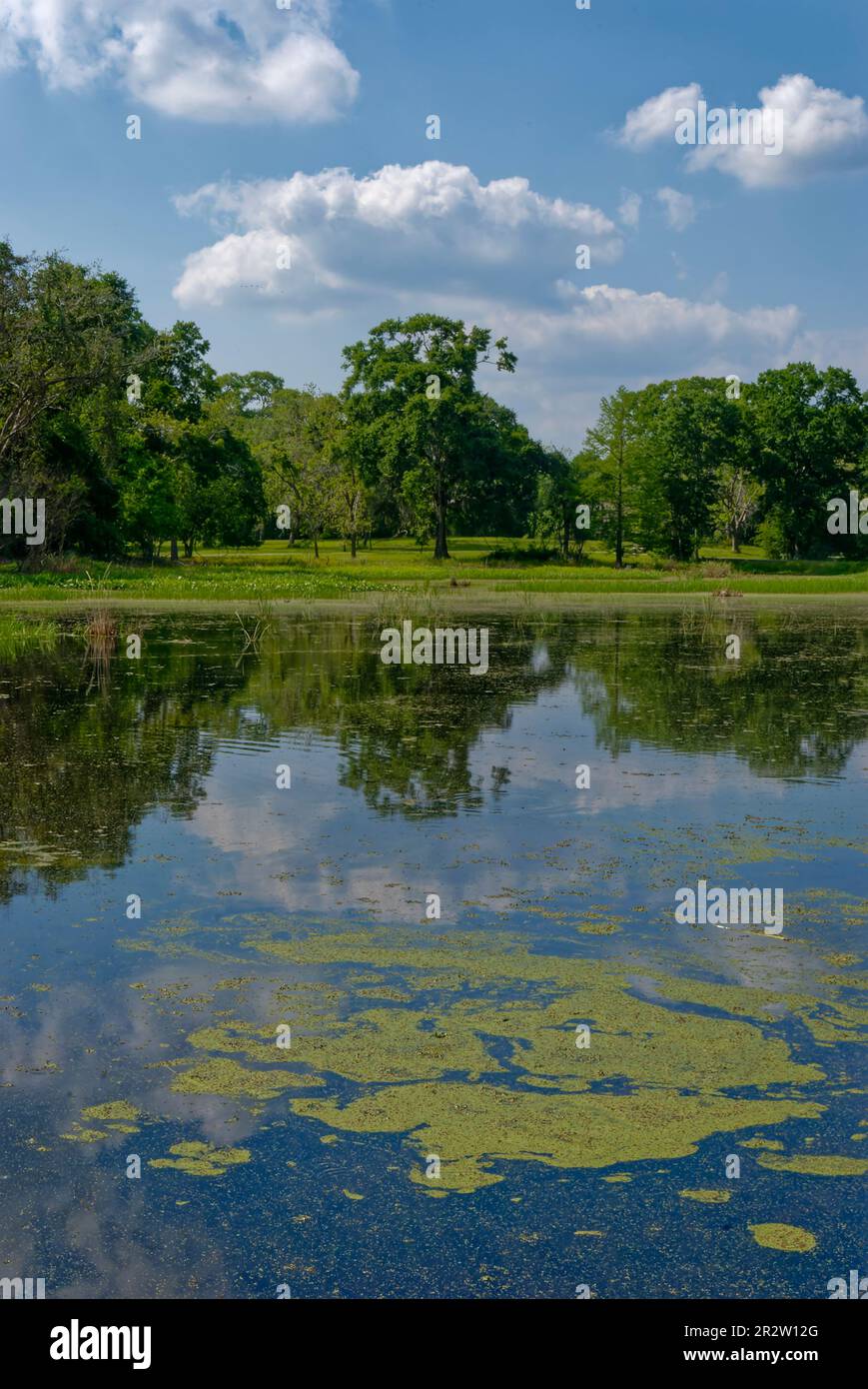 Outdoors brazos bend state park hi-res stock photography and images - Alamy