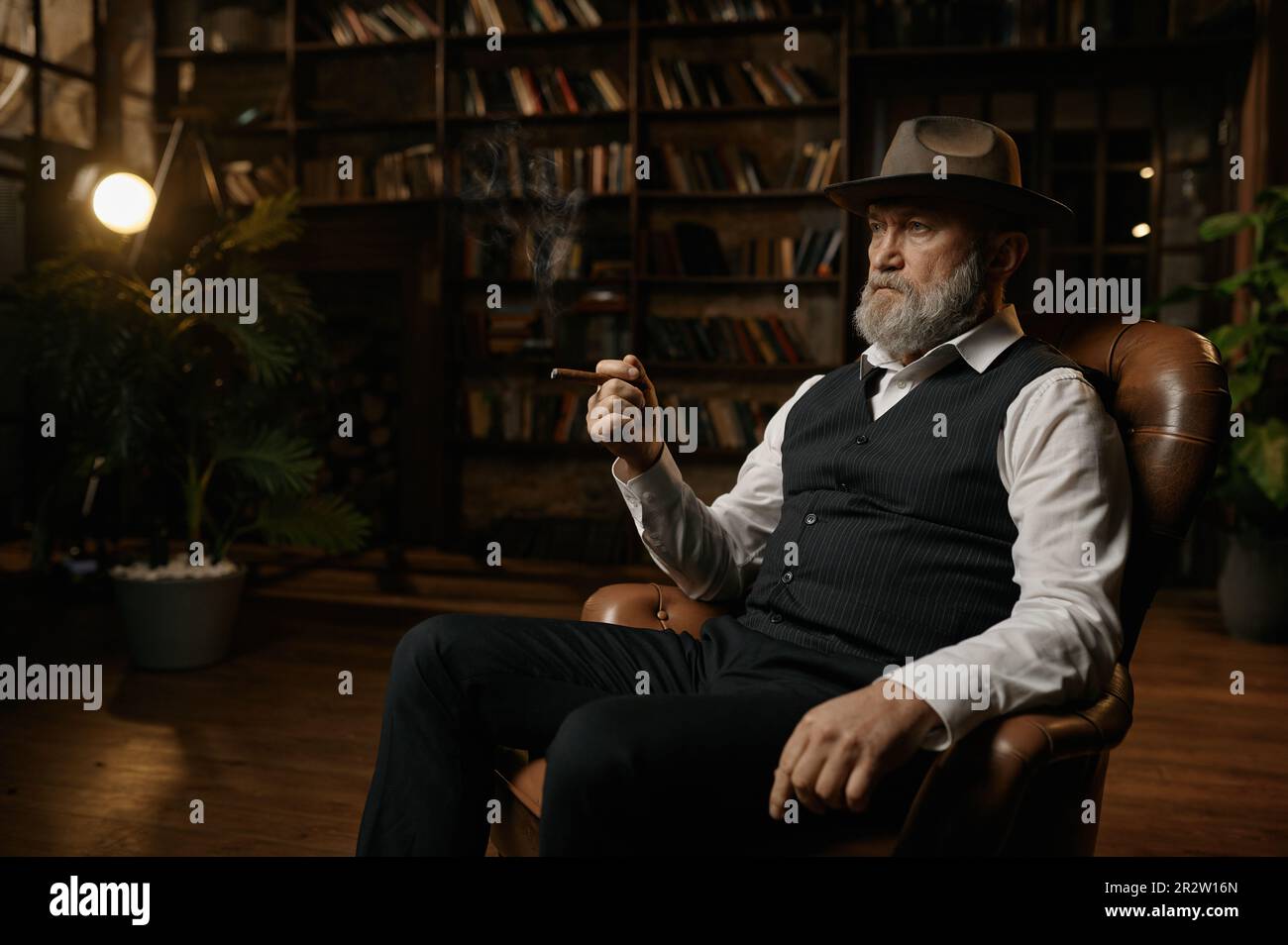 Senior gentleman sitting in armchair smoking cigar over home library ...