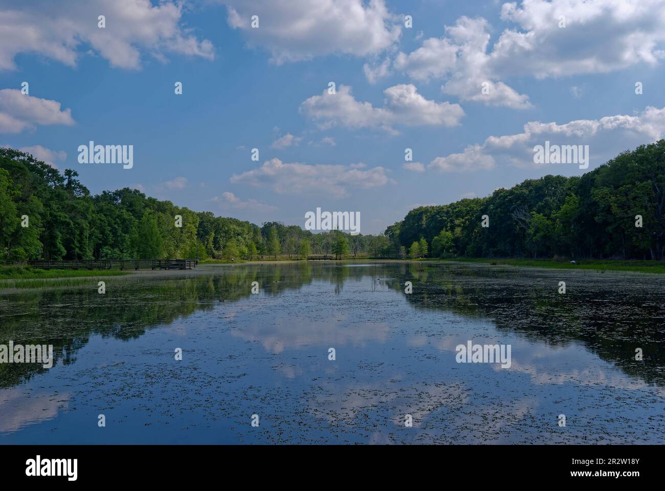 Looking down Creekfield Lake and its Wildlife Viewing Platform with the ...