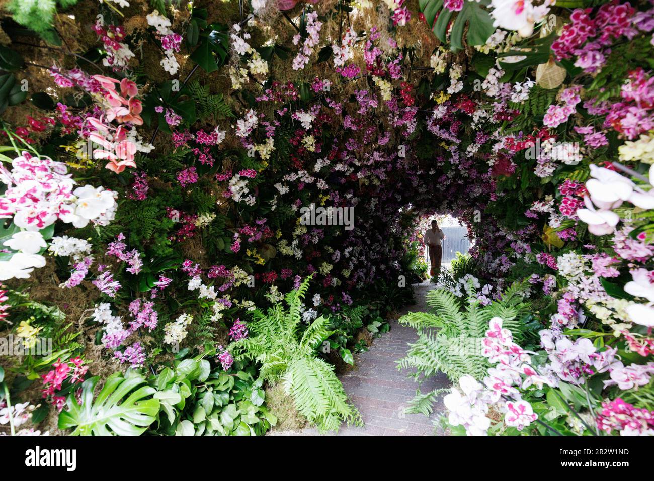 EDITORIAL USE ONLY A passer by walks through the floral installation ...