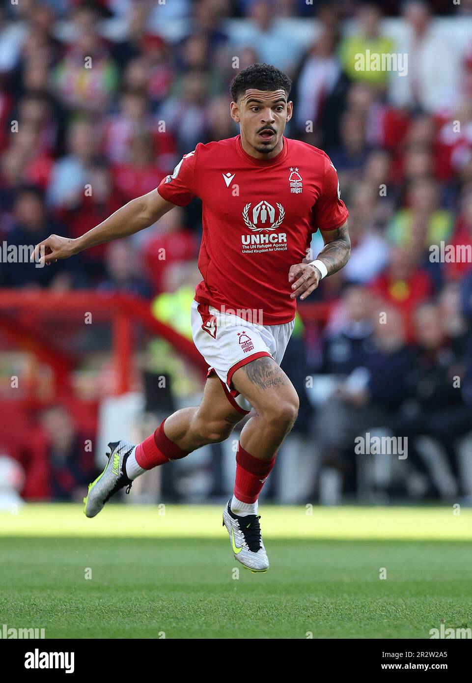 Nigel gibbs hi-res stock photography and images - Alamy