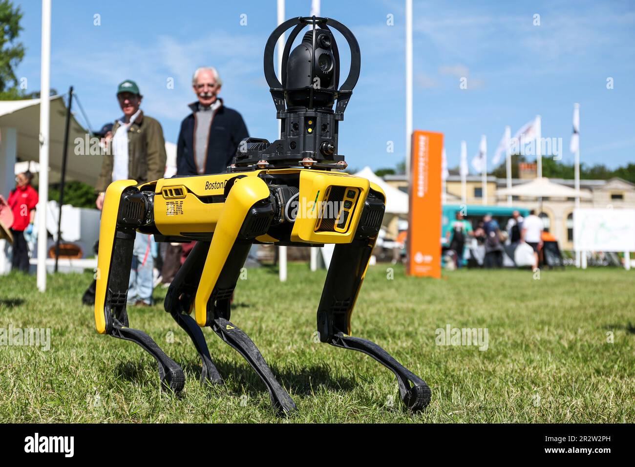 EDITORIAL USE ONLY IBM’s ‘spot’, a robotic dog at Goodwoof 2023, a dog ...