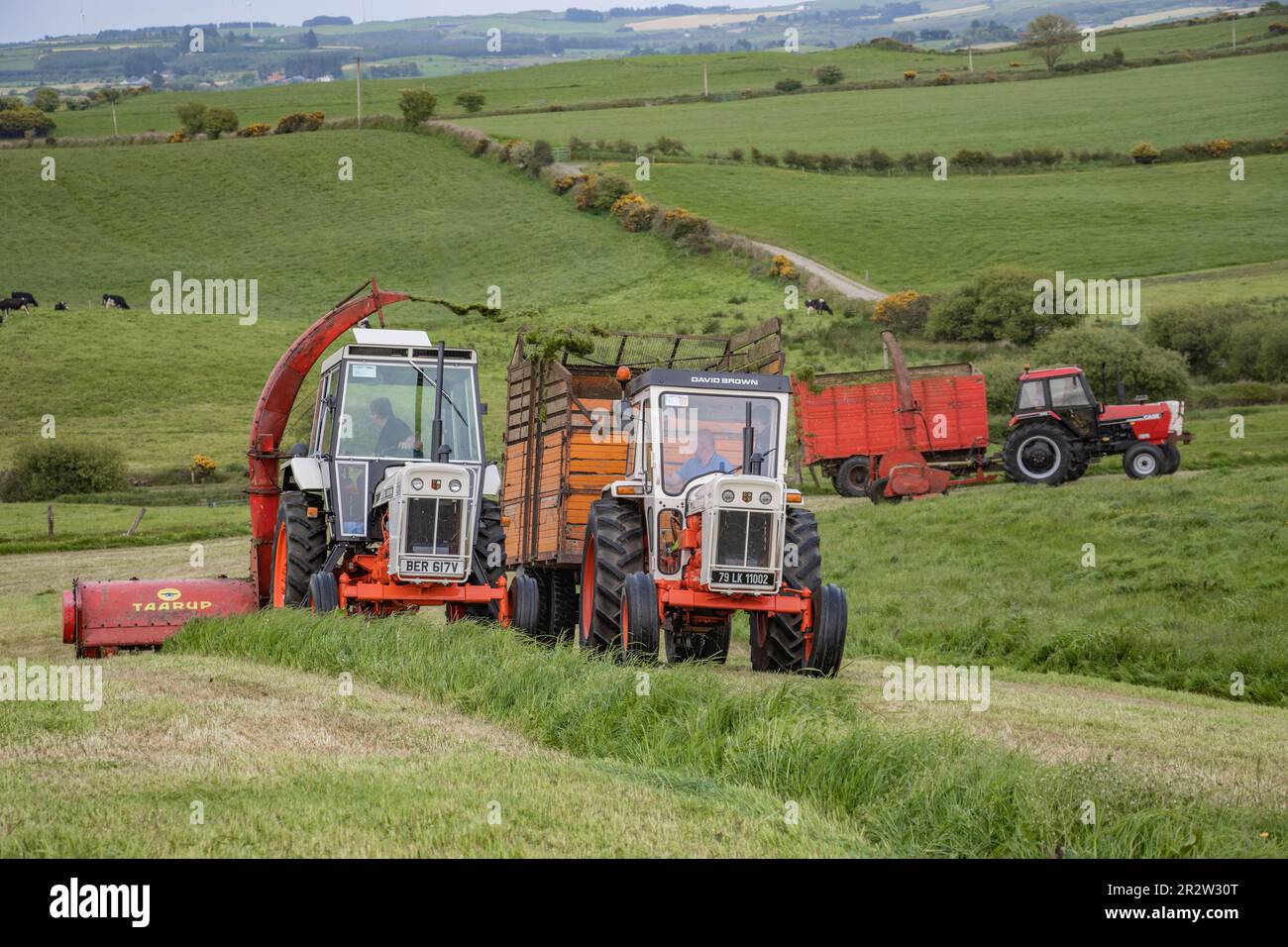 Double chop grass hi-res stock photography and images - Alamy