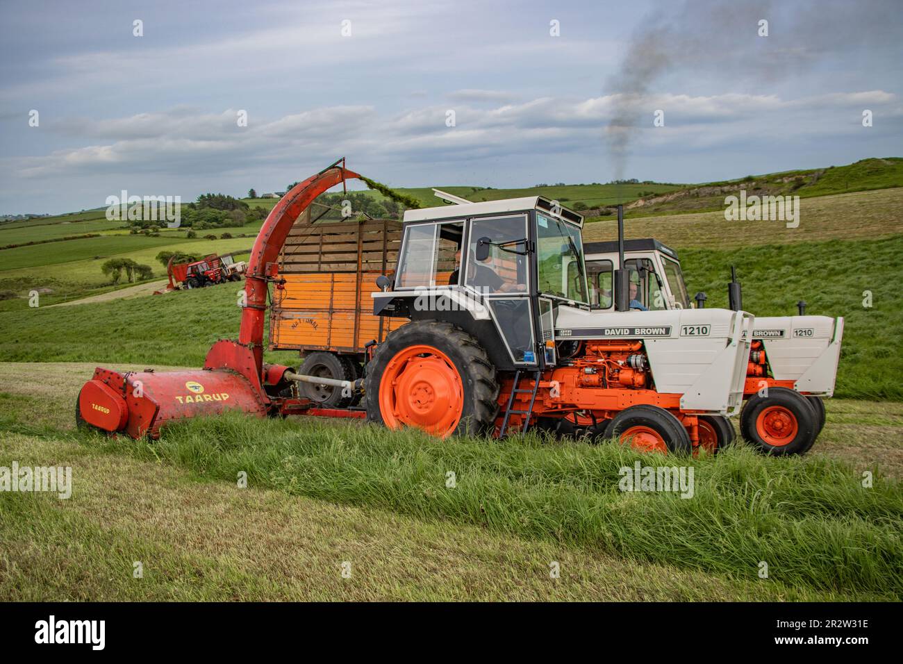 Double chop silage harvesting with David Brown tractors and Taarup ...