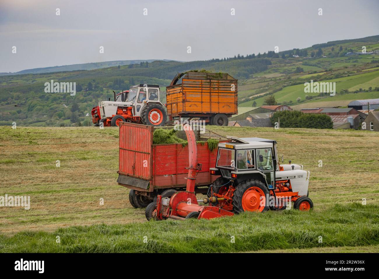 Double chop silage harvesting with David Brown tractors and Taarup ...