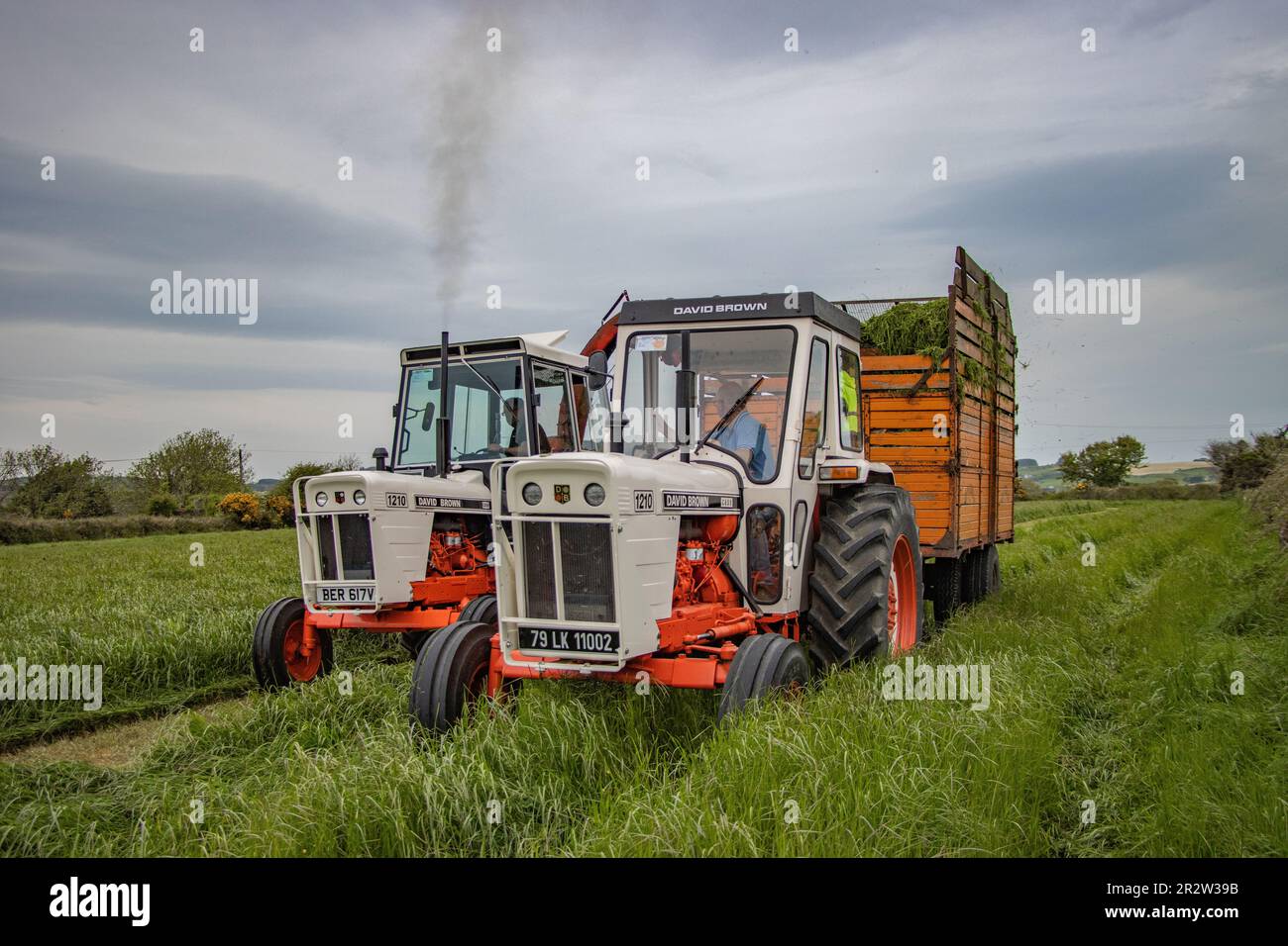 Double chop silage harvesting with David Brown tractors and Taarup ...