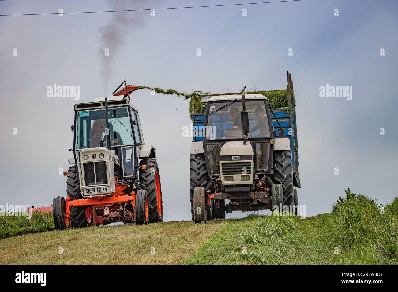 Double chop silage harvesting with David Brown tractors and Taarup ...