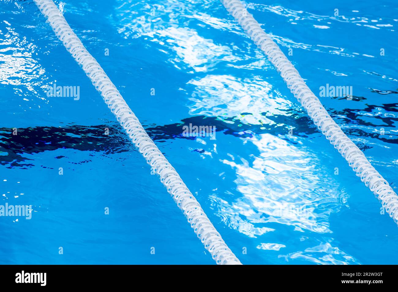 The view of an empty public swimming pool indoors. Lanes of a ...