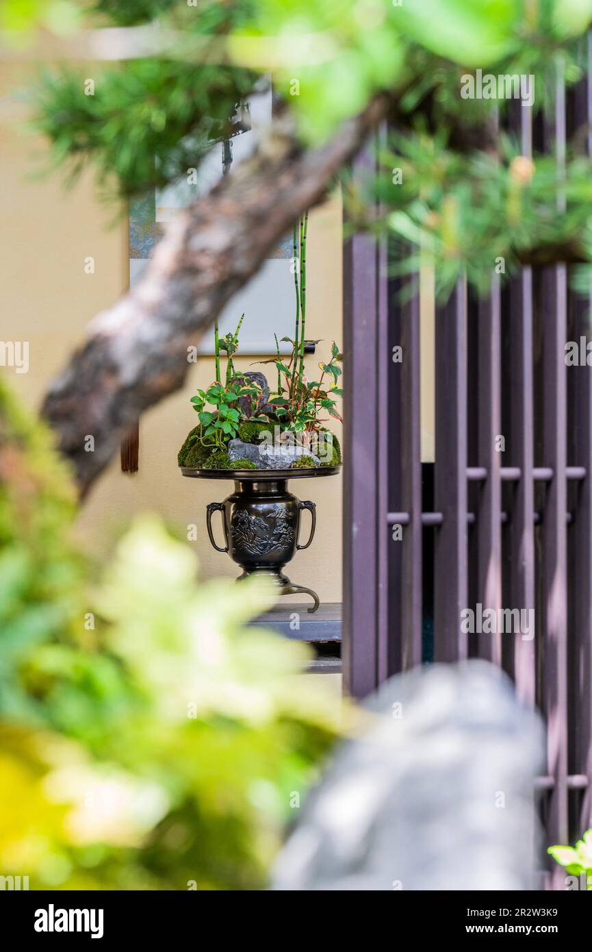 London, UK. 21st May, 2023. The Biophilic Garden Otsu - Hanare ...