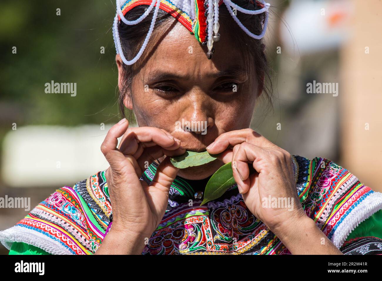 Hani women hi-res stock photography and images - Alamy