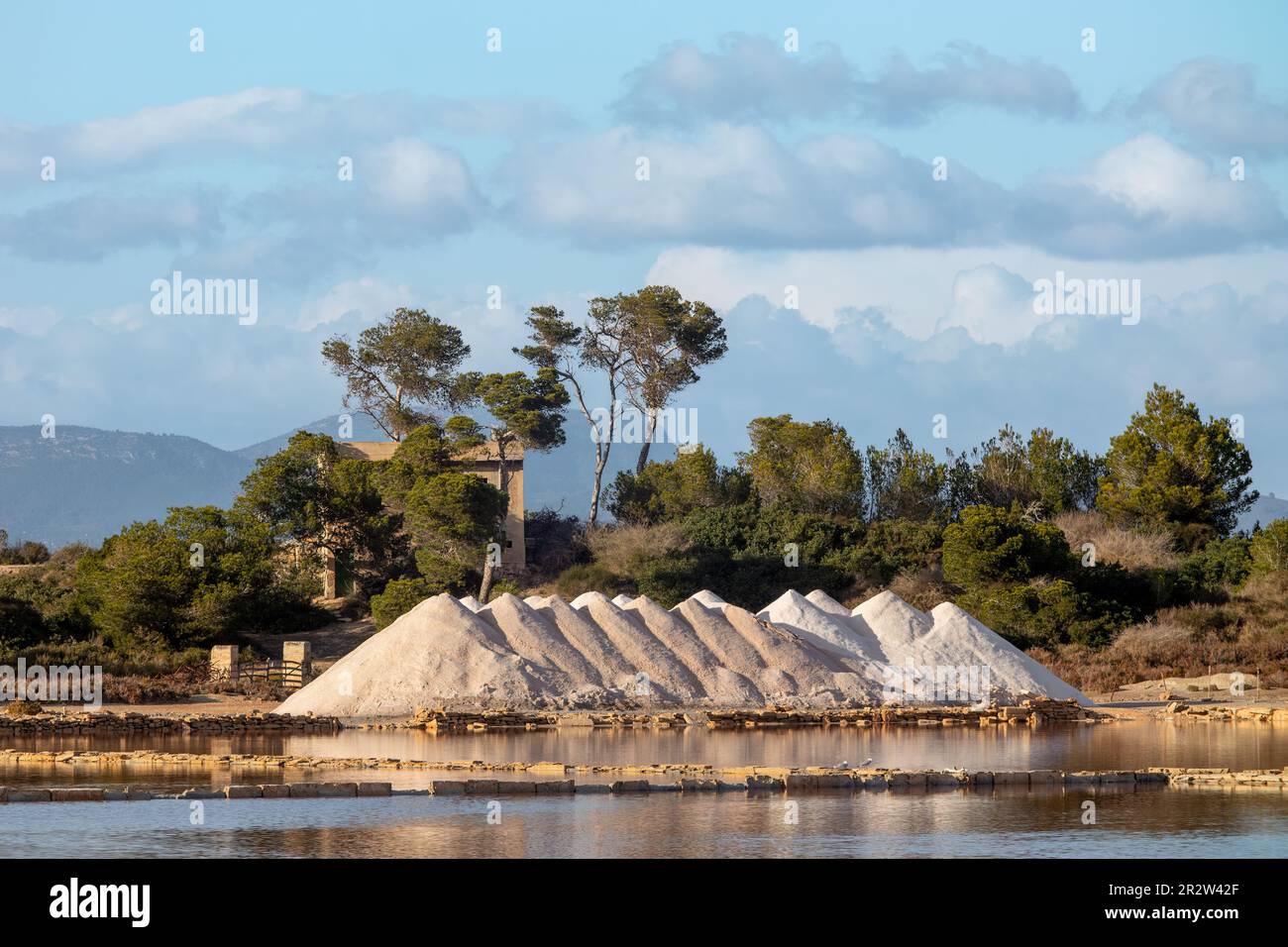 Salinas de S'Avall, salt evaporation pond with salt piles in Colonia de ...