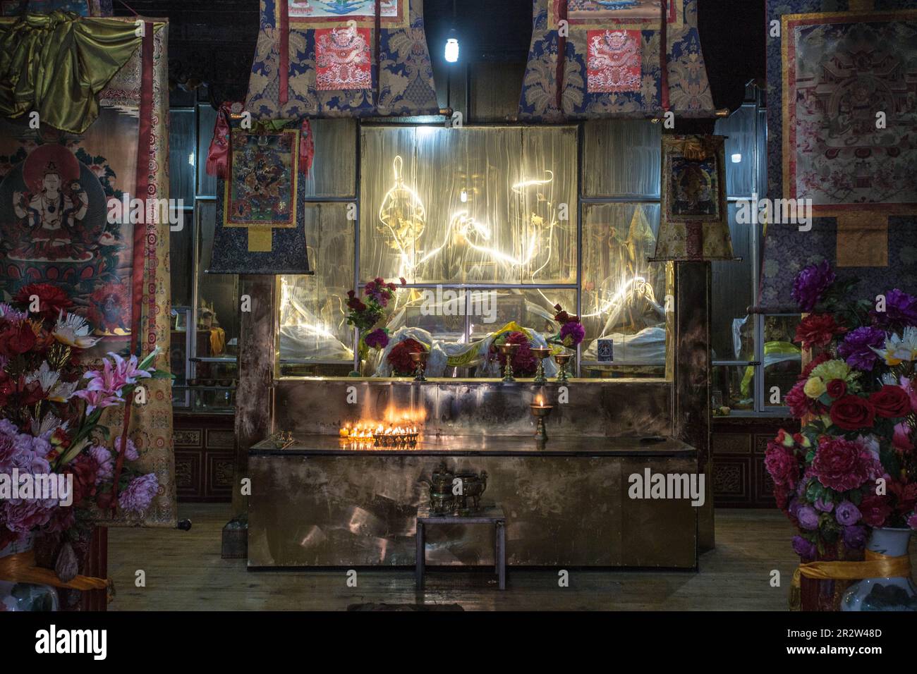 Tibetan chicken hi-res stock photography and images - Alamy