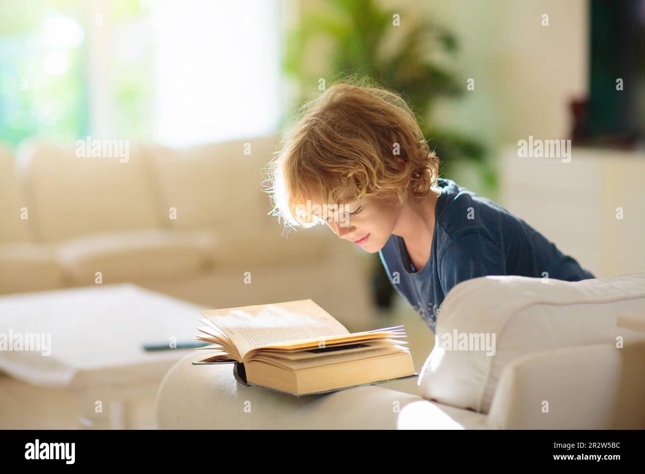 Child reading a book in sunny living room. Kid doing homework. Kids ...
