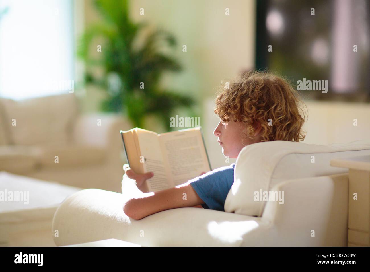 Child reading a book in sunny living room. Kid doing homework. Kids ...